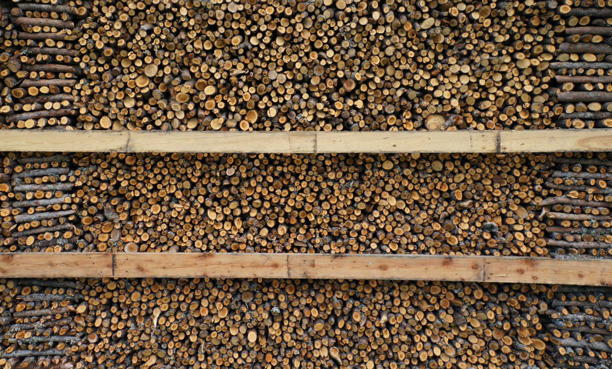 EPPO-LEX – The legal research library on the European Public Prosecutor ...