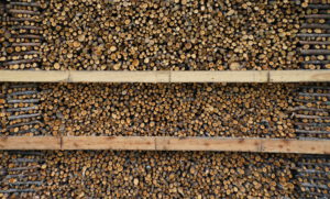 EPPO-LEX – The legal research library on the European Public Prosecutor ...